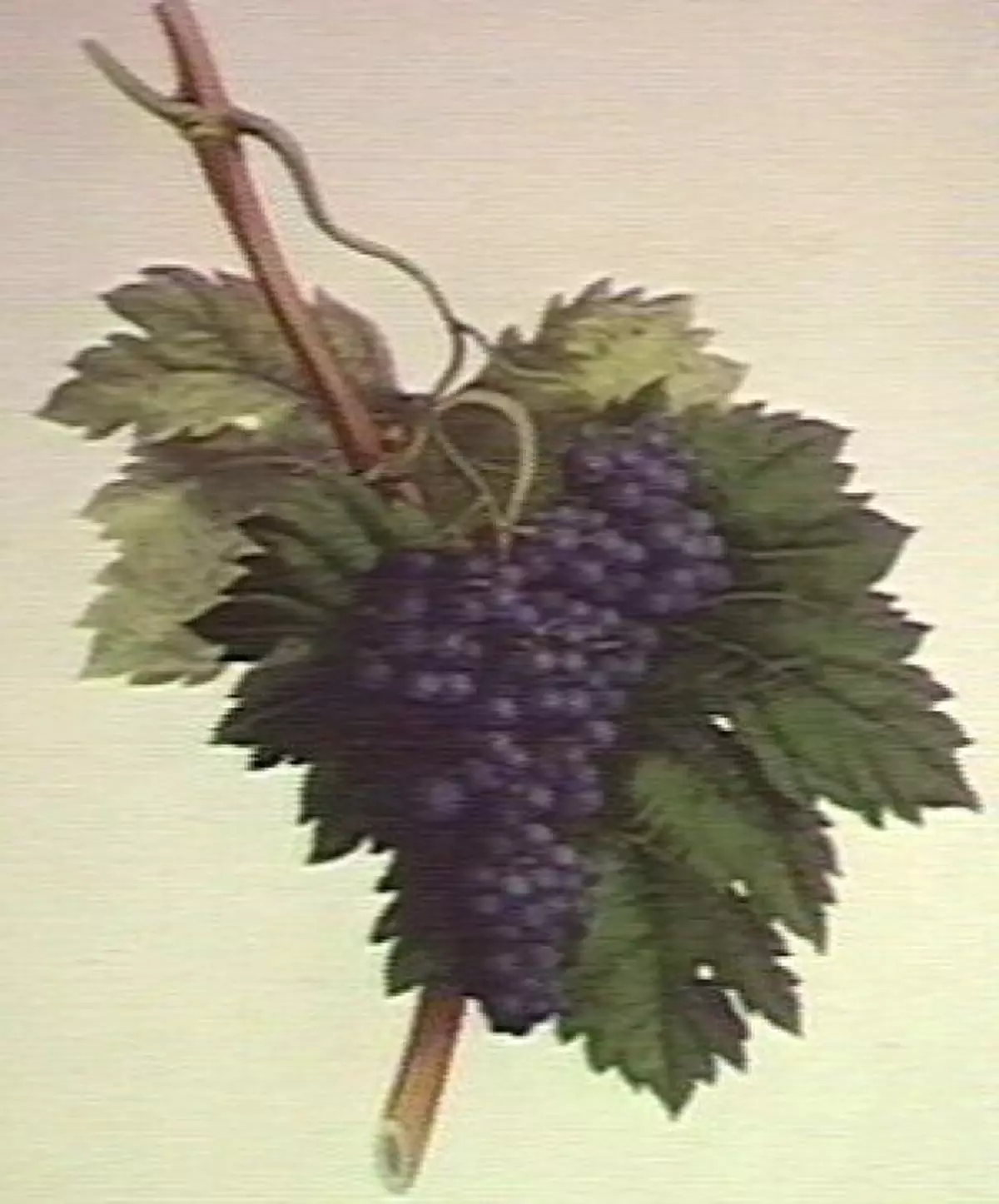 Significado de «corinto»