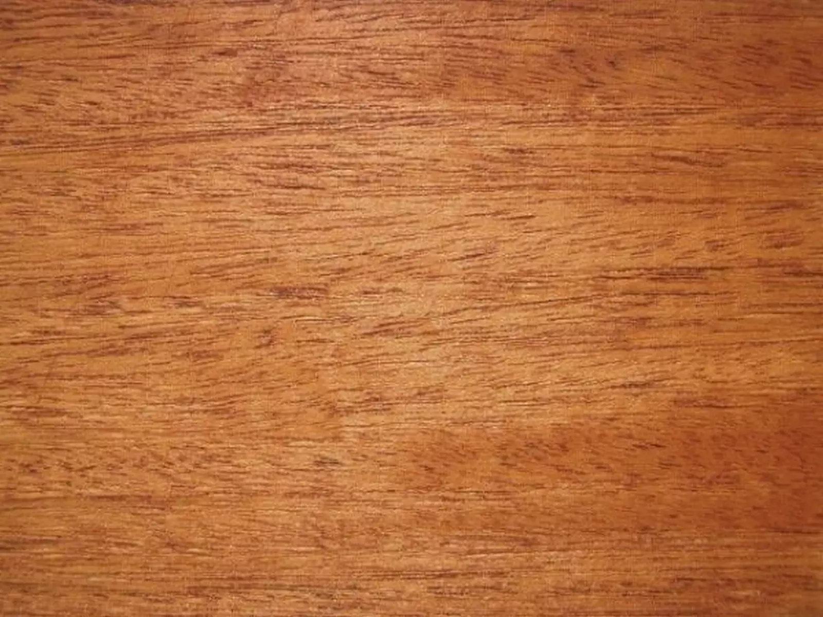 Significado de «caoba»