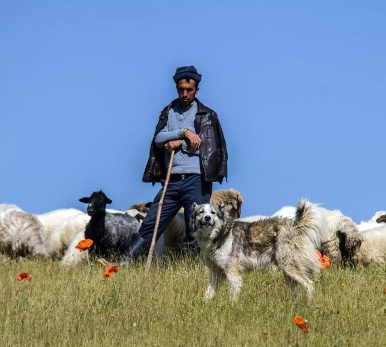 Significado de «chivata»