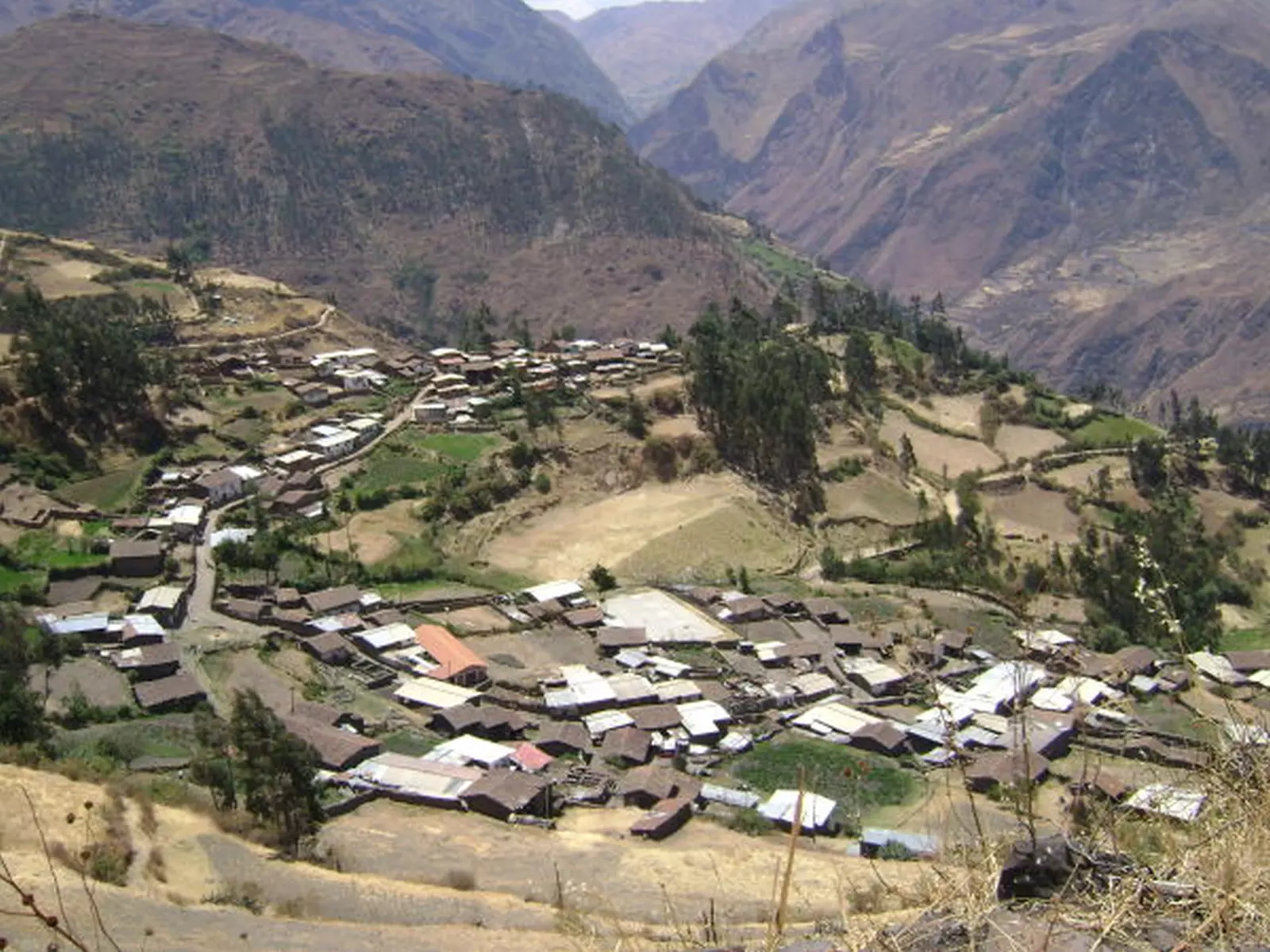 Significado de «cusca»