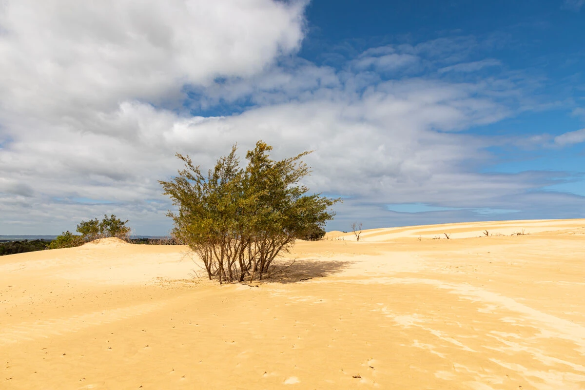 Significado de «duna»