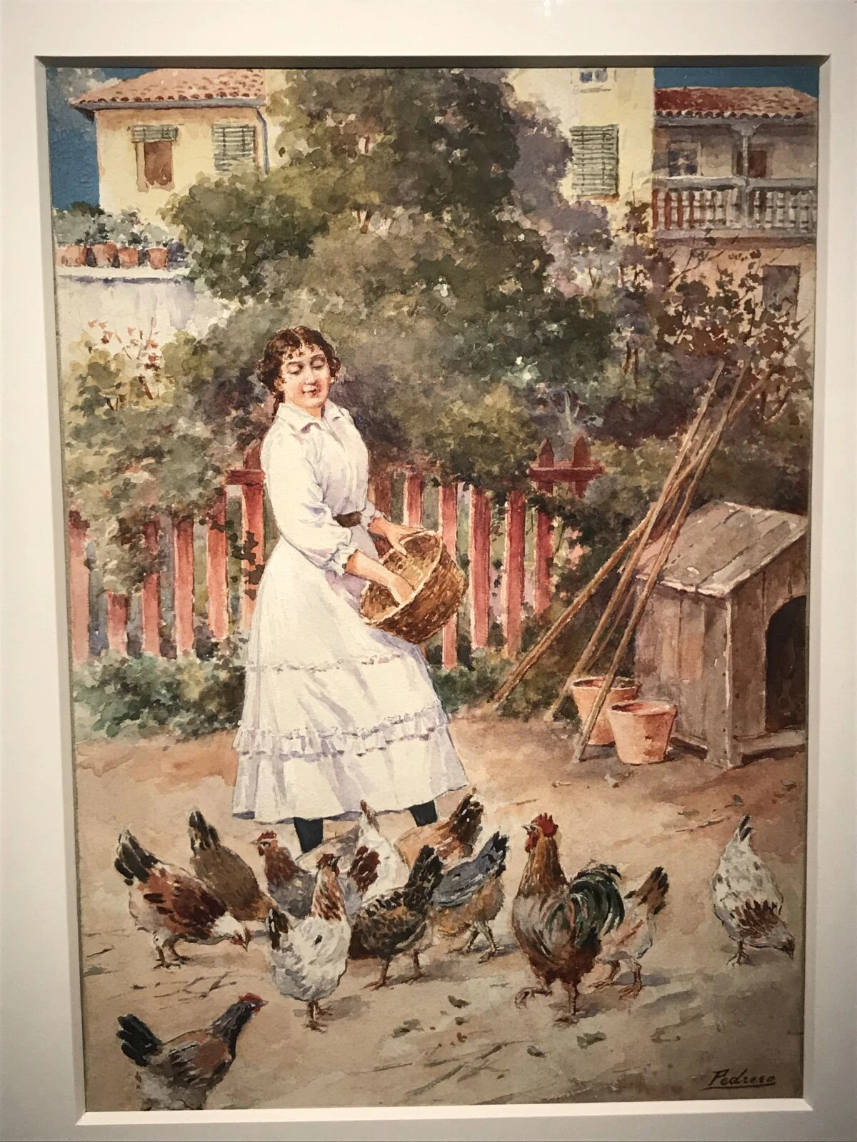 Significado de «gallinero (gallinera)»