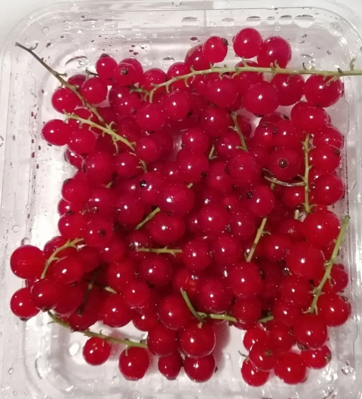 Significado de «baya»