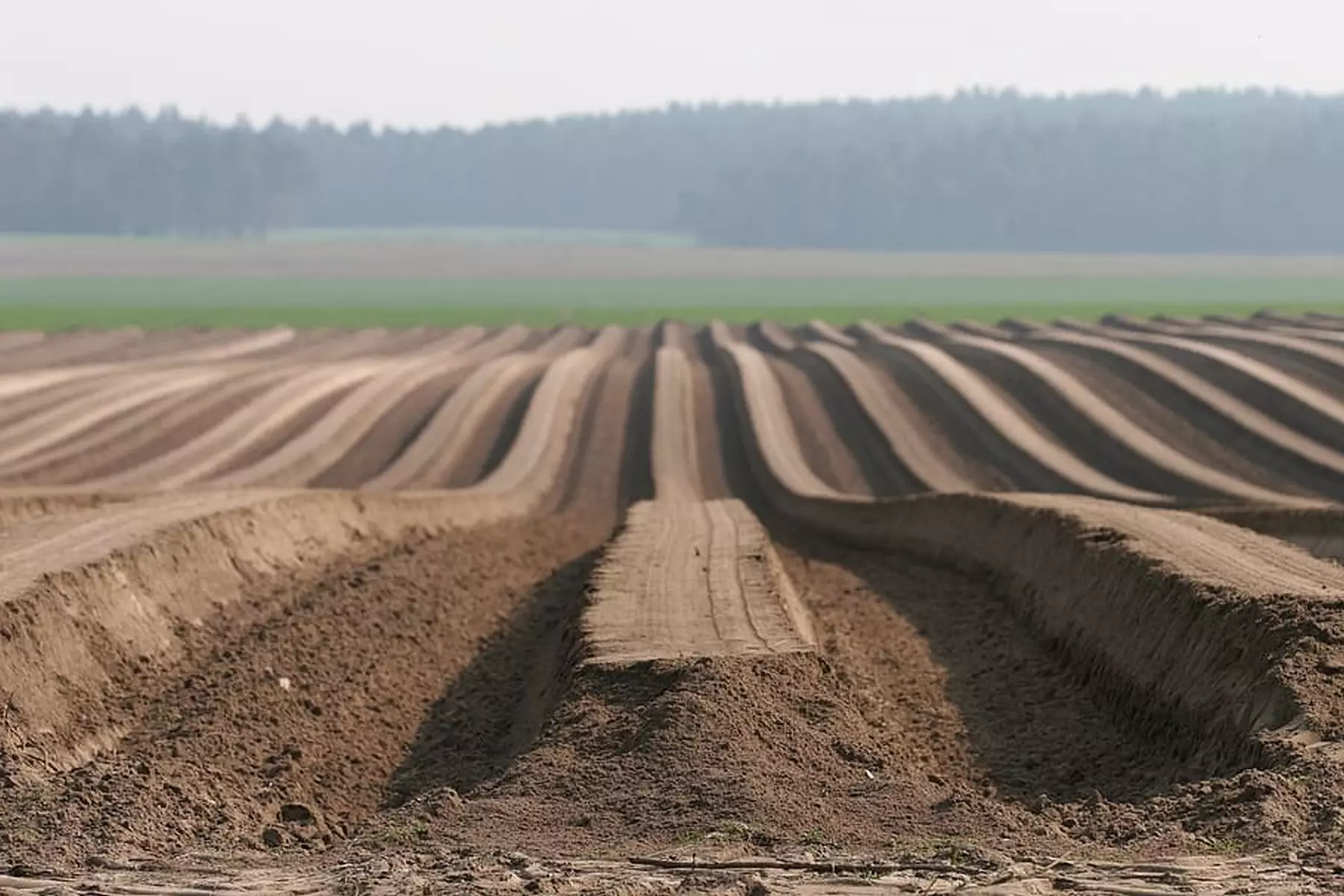 Significado de «heredad»