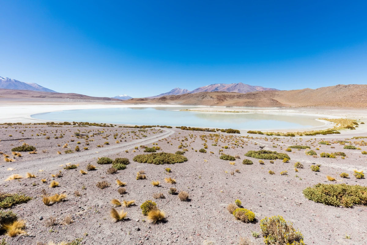 Significado de «laguna»