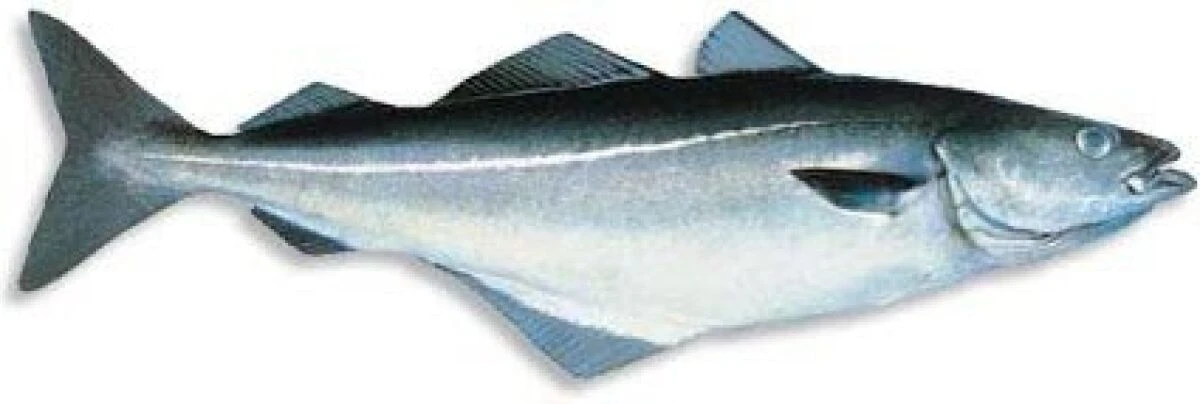 Significado de «merluza»