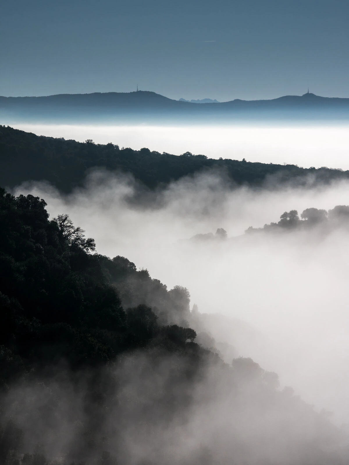 Significado de «niebla»
