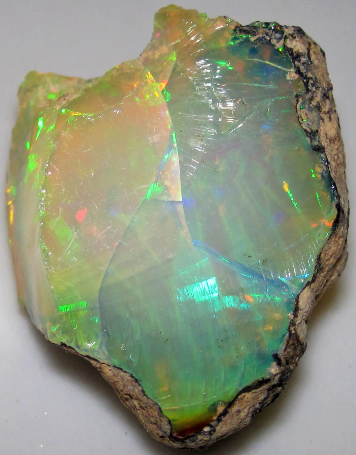 Significado de «opalino (opalina)»