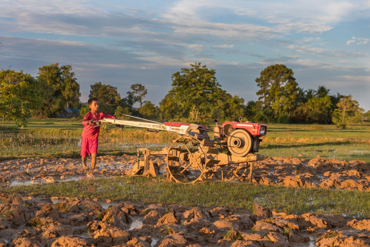 Significado de «arado»