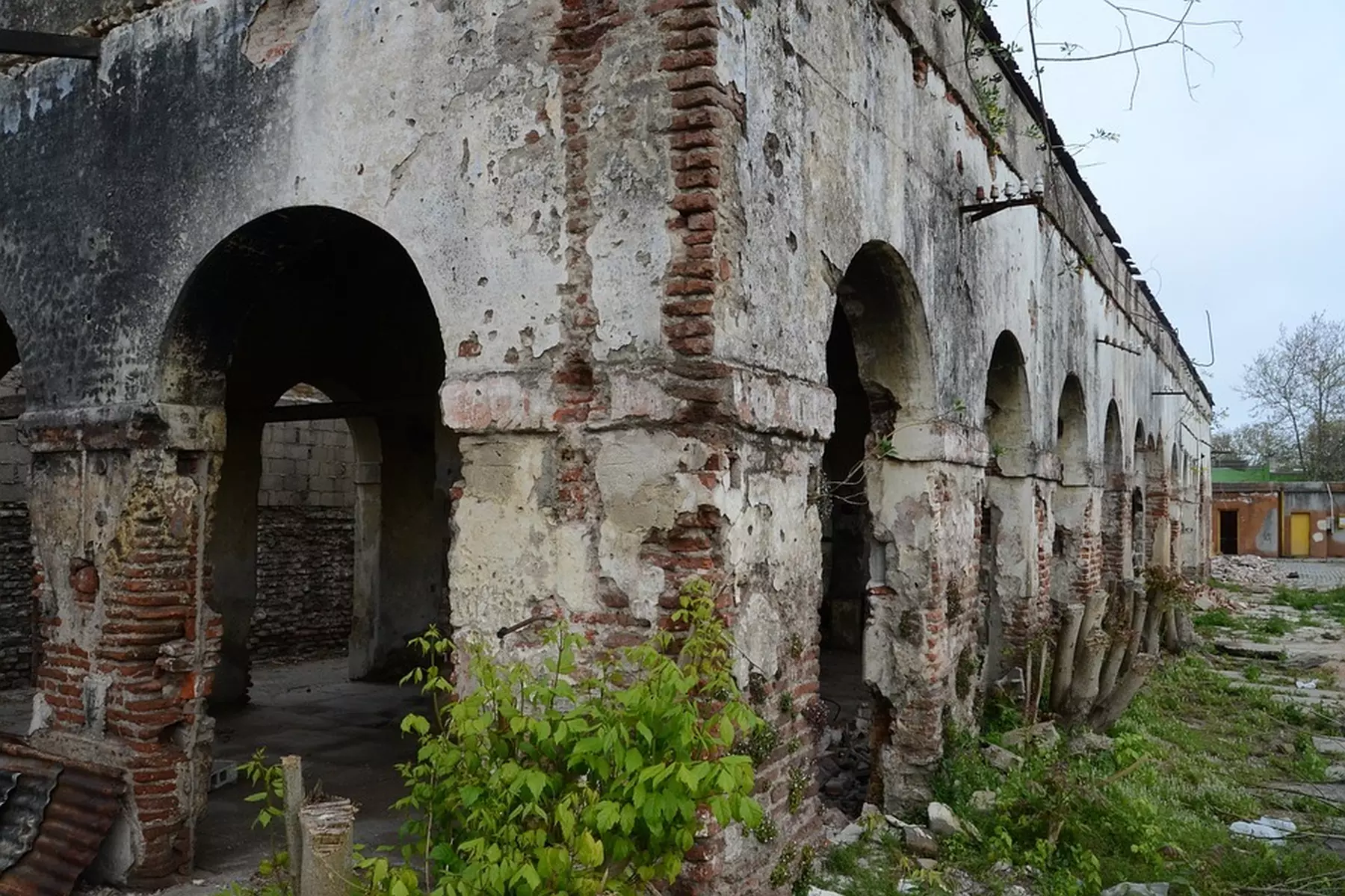 Significado de «tapera»