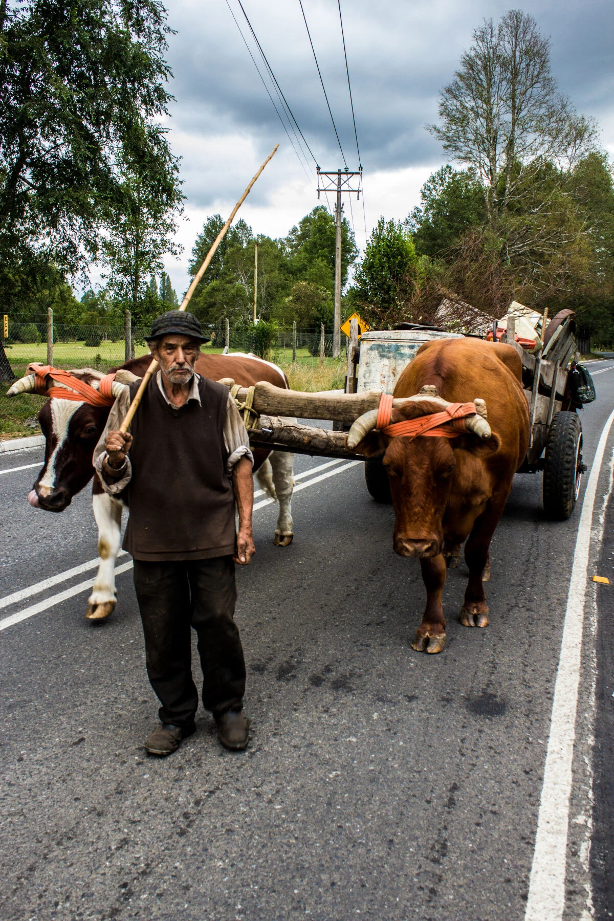 Significado de «yunta»