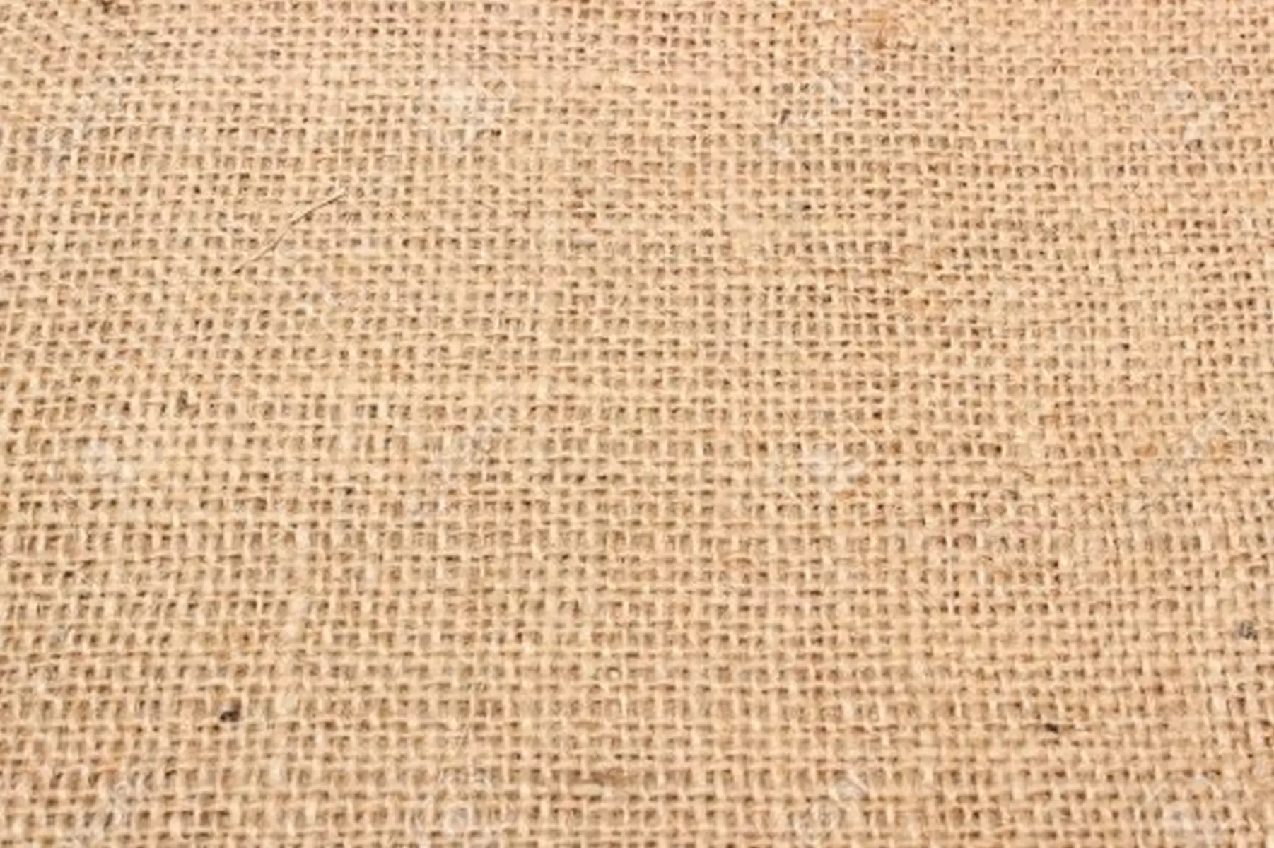 Significado de «yute»