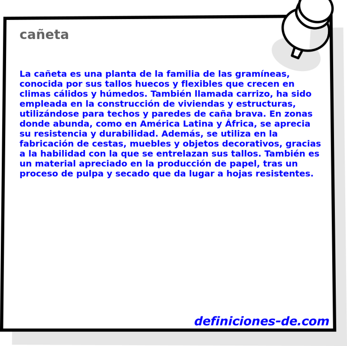 Significado de «cañeta»