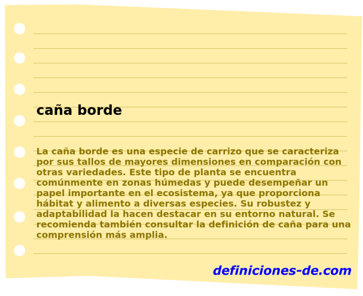 Significado de «caña borde»