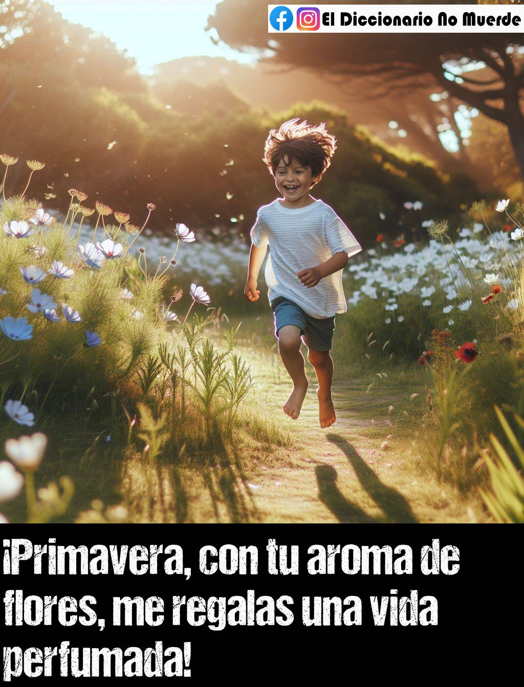 29 oraciones con «primavera»