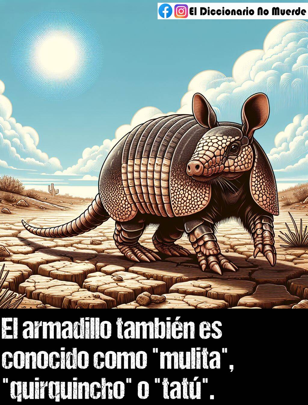 6 oraciones con «tatú»