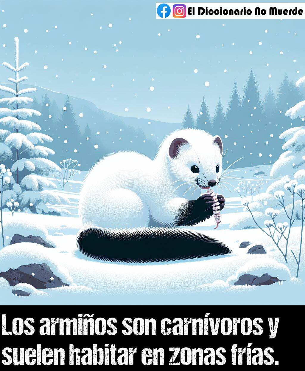 Significado de «fría»