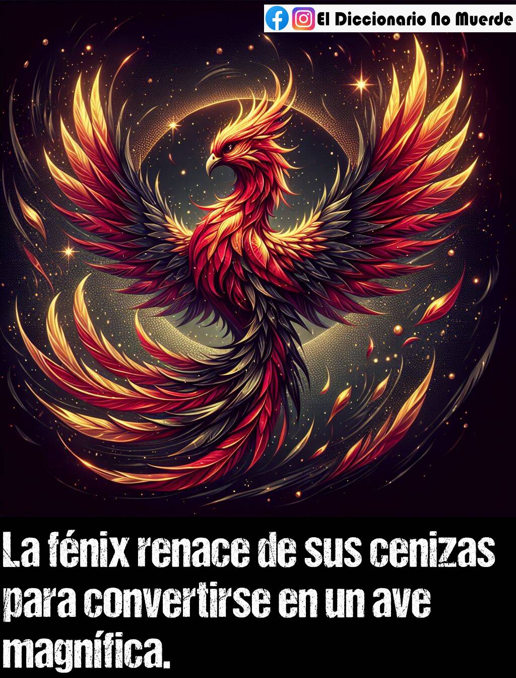 Significado de «magnífico (magnífica)»