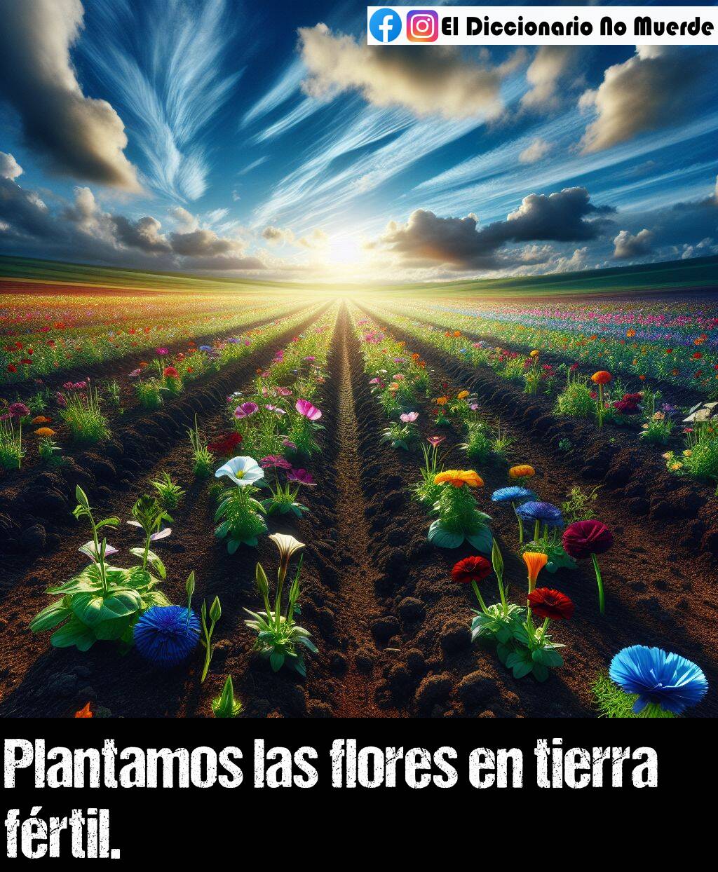 Significado de «flor»