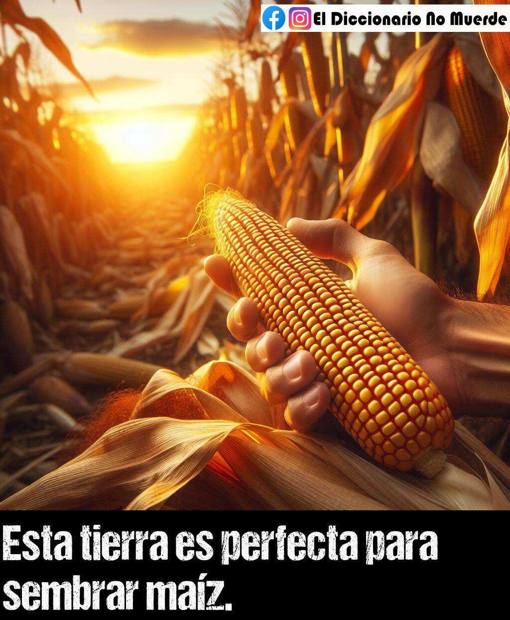 Significado de «perfecto (perfecta)»