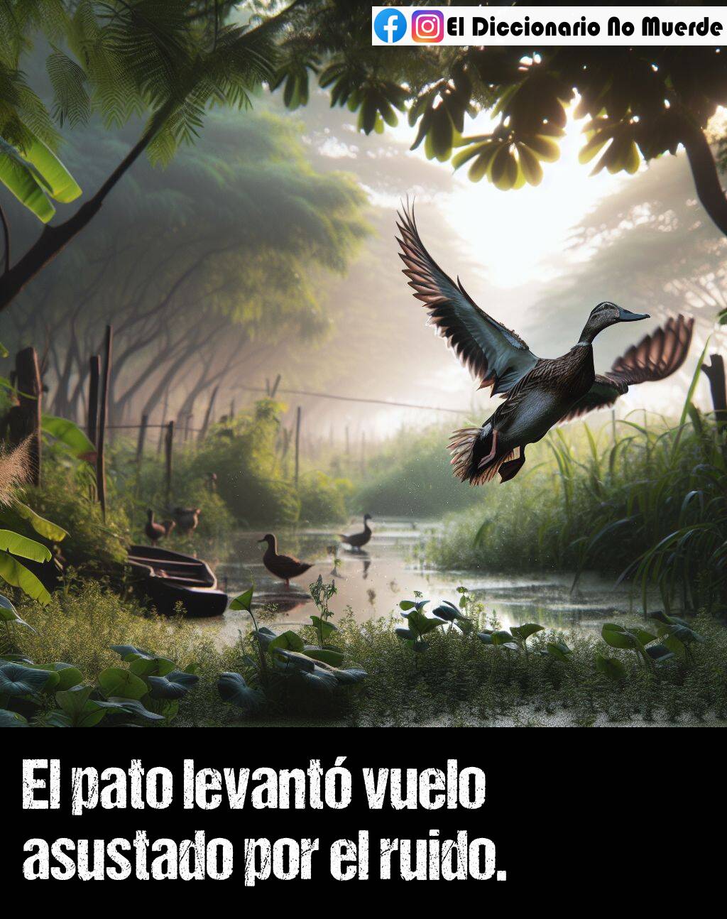 Significado de «asustado (asustada)»