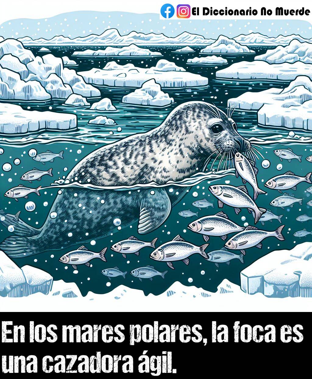 Significado de «ágil»