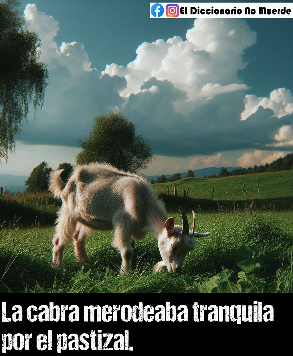 22 oraciones con «merodear»