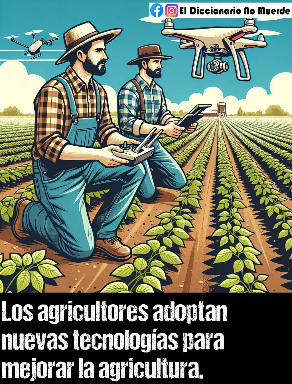 Significado de «nueva»