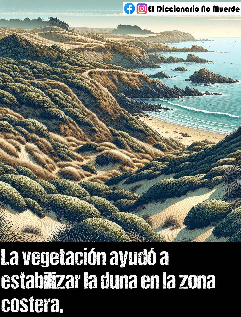 Significado de «vegetación»