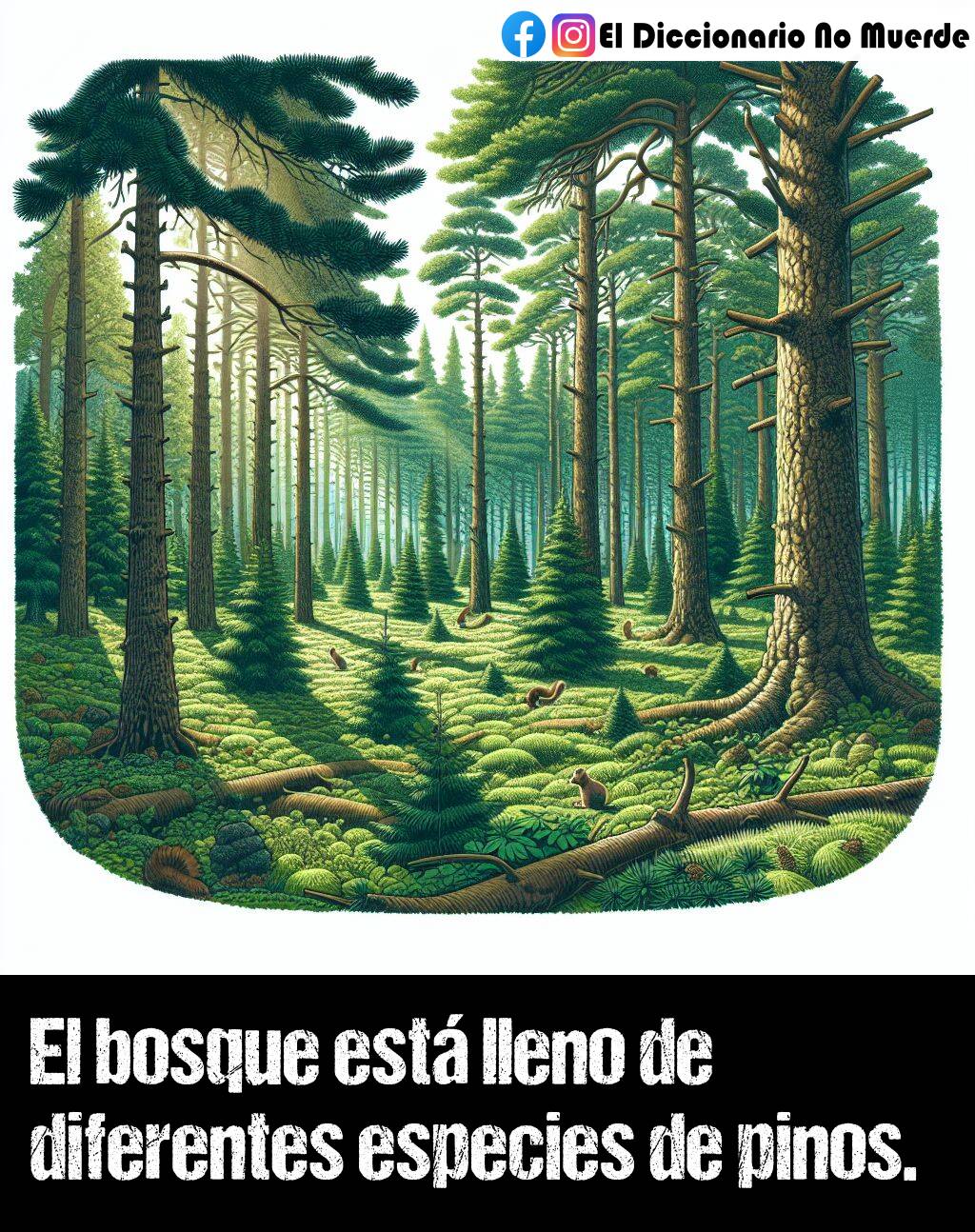 Significado de «diferente»