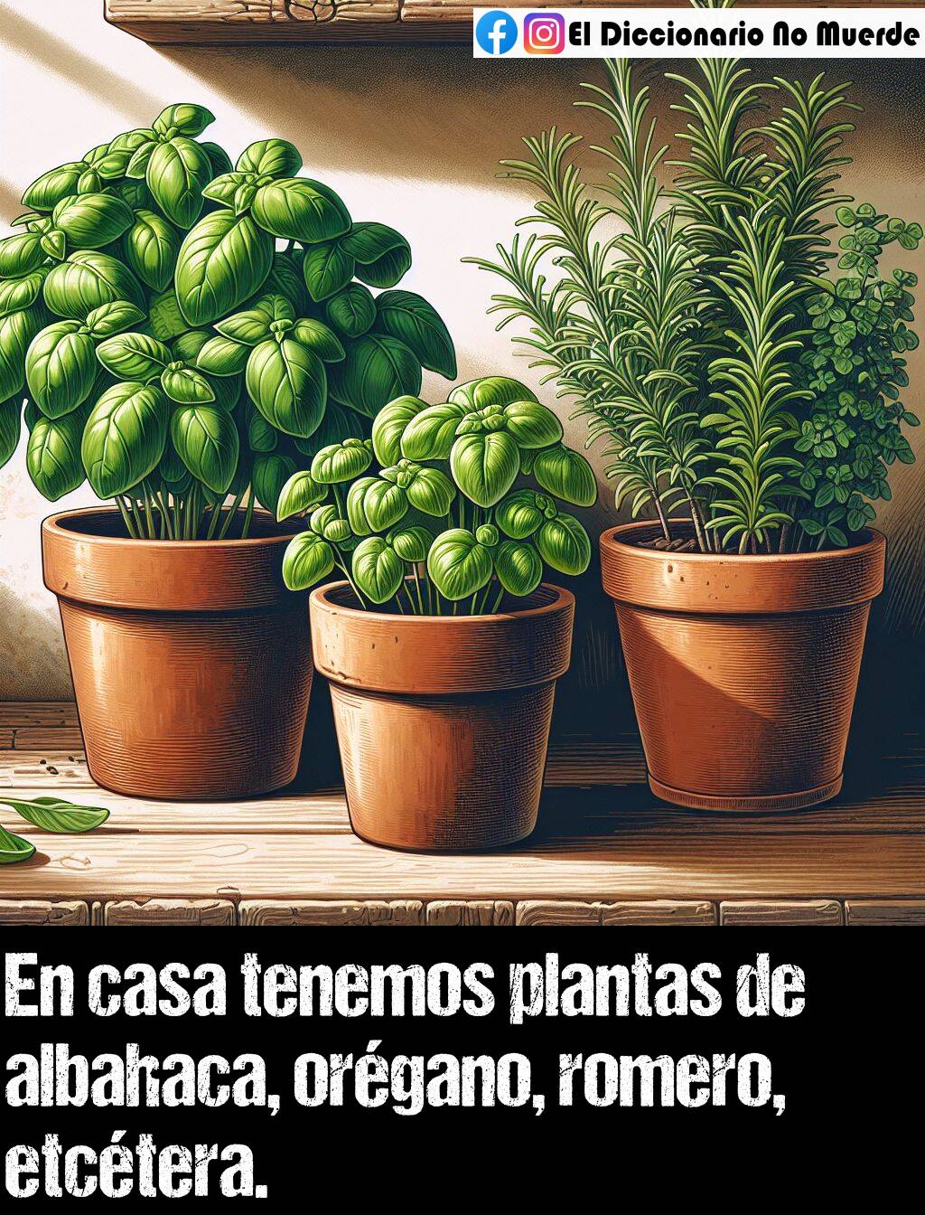 Significado de «planta»