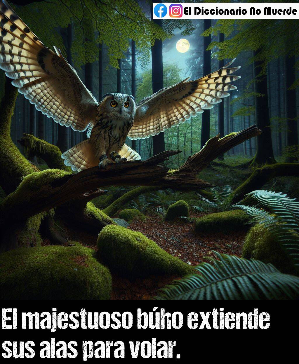 120 oraciones con «volar»