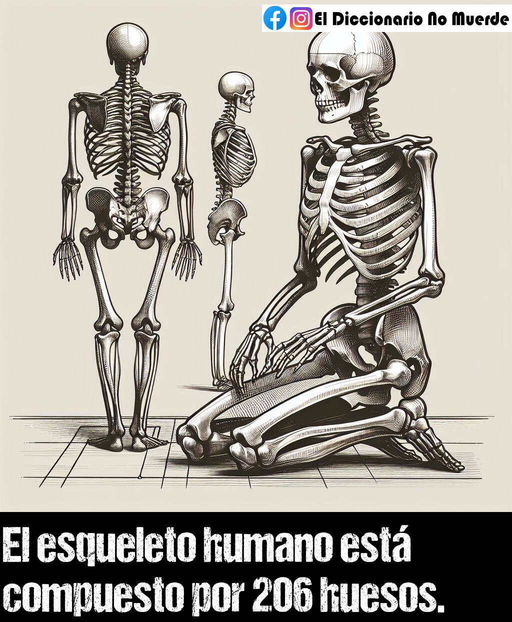 40 oraciones con «esqueleto»