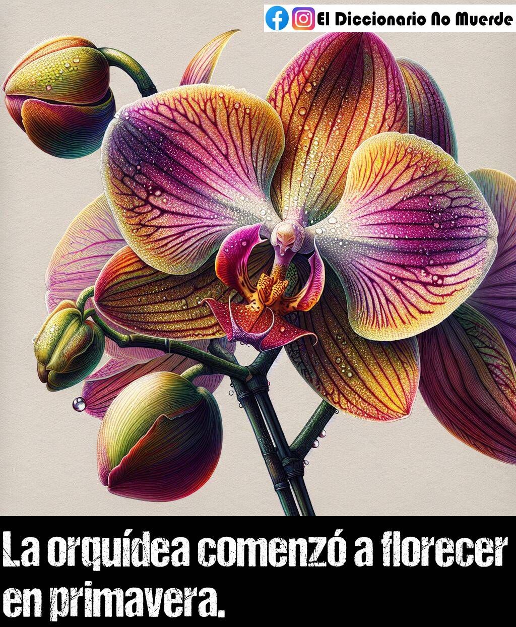 Significado de «comenzar»