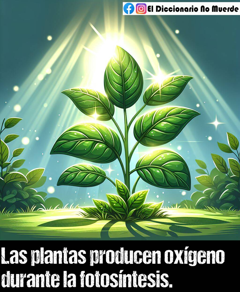 Significado de «fotosíntesis»