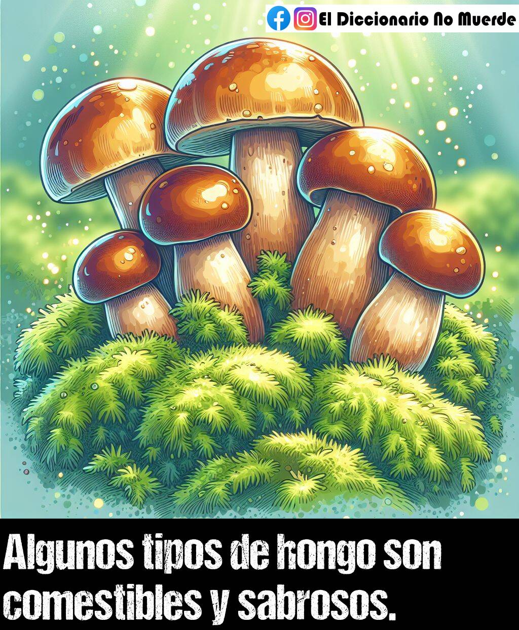 Significado de «tipo»