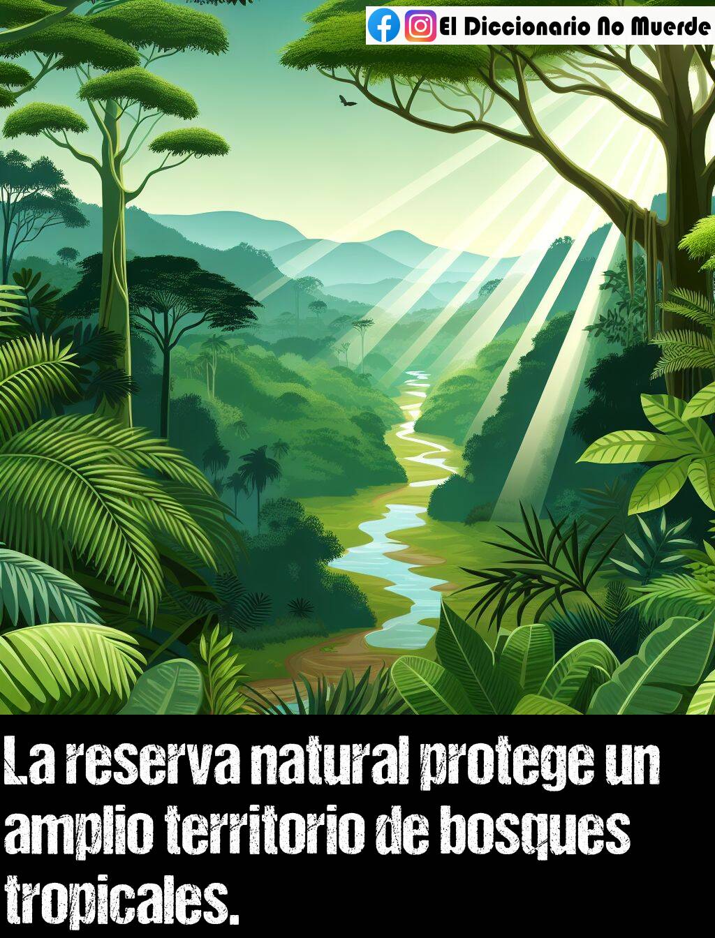 Significado de «amplio»