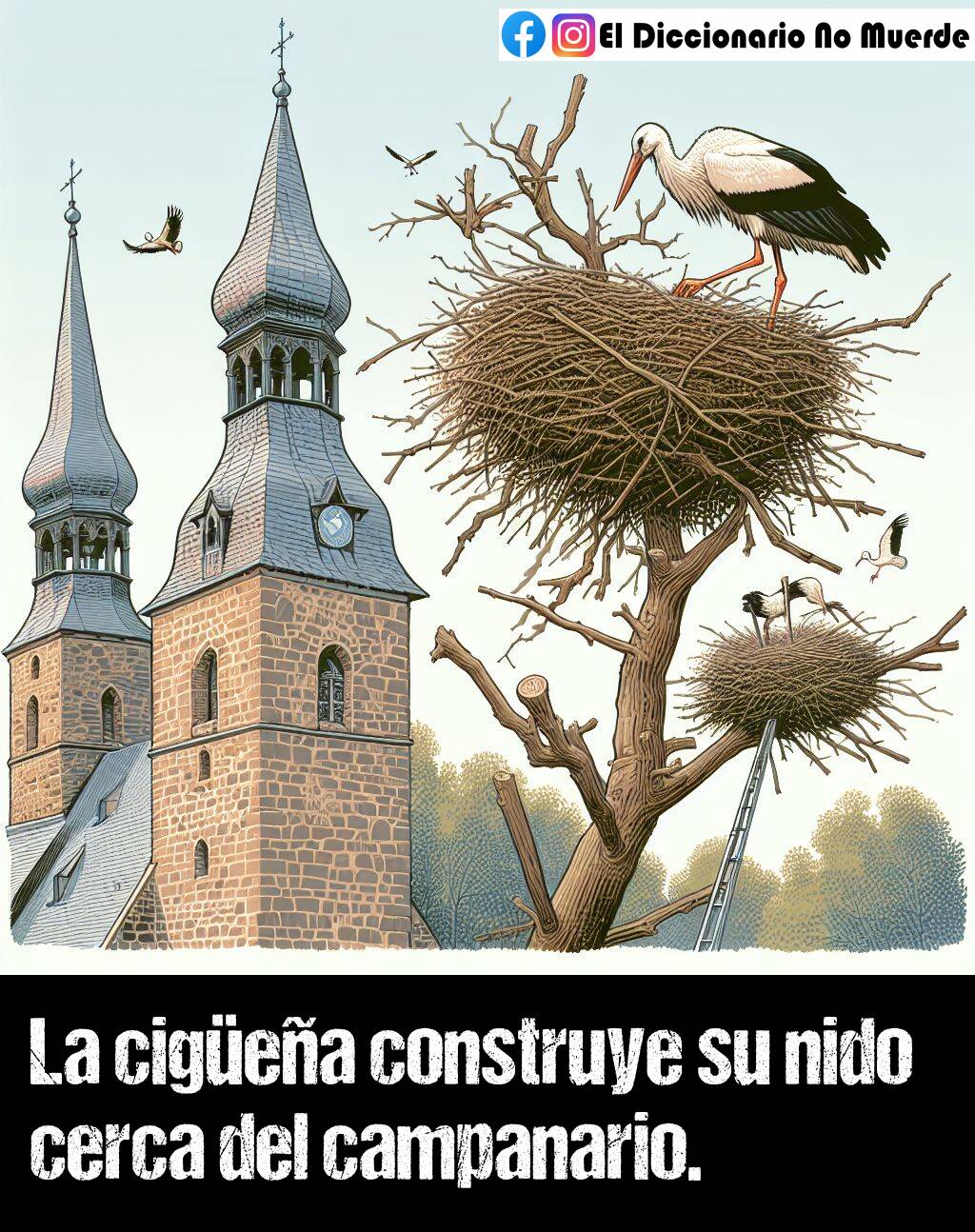 Significado de «construir»