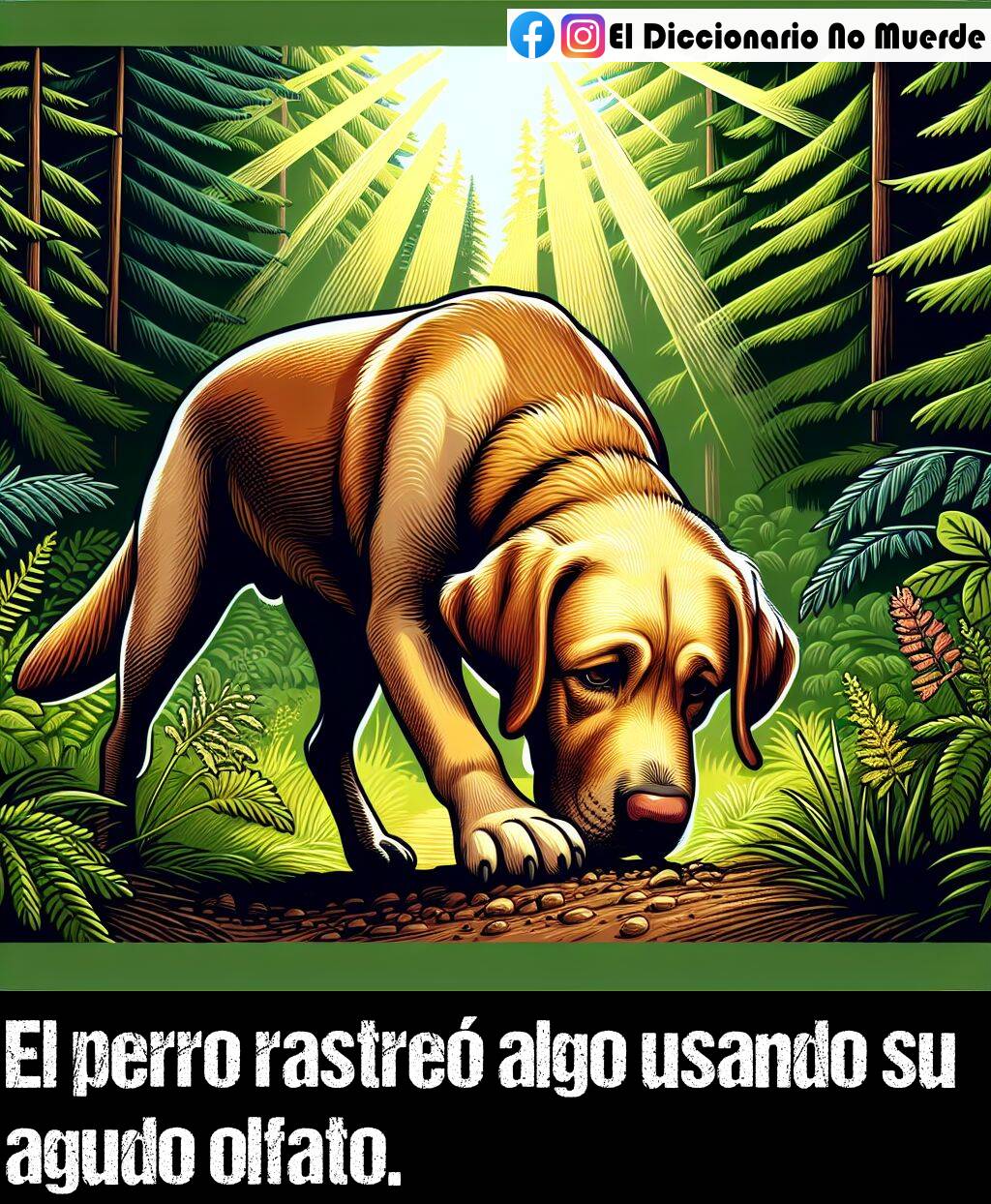 Significado de «agudo (aguda)»