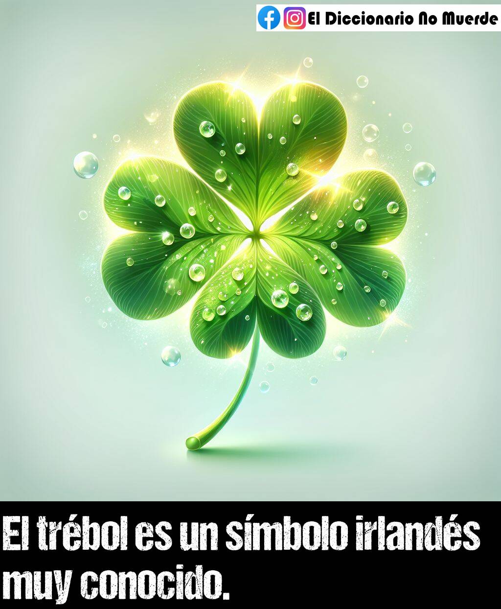 Significado de «conocido (conocida)»