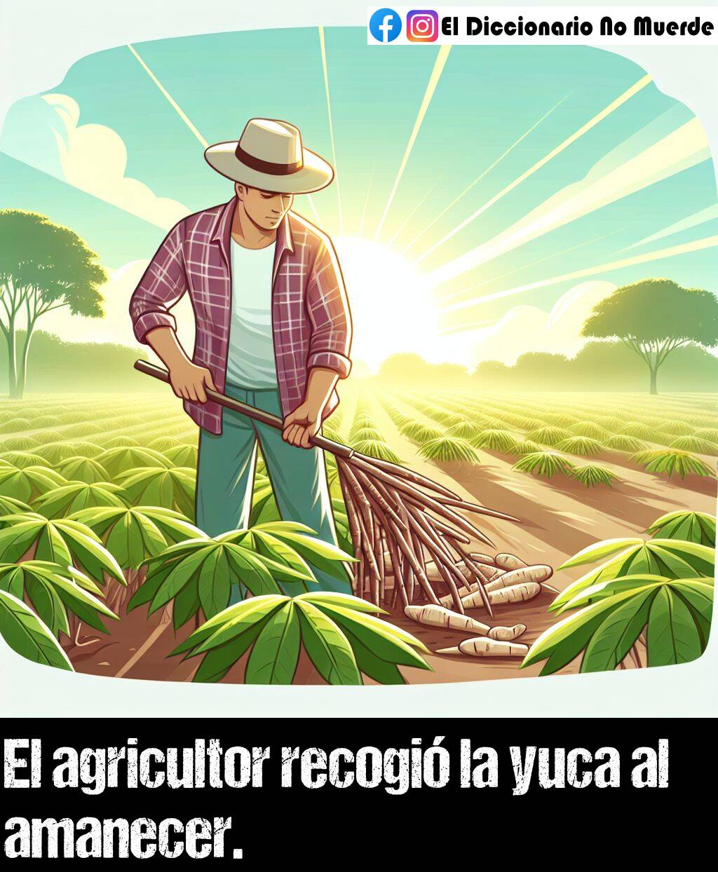 Significado de «recoger»