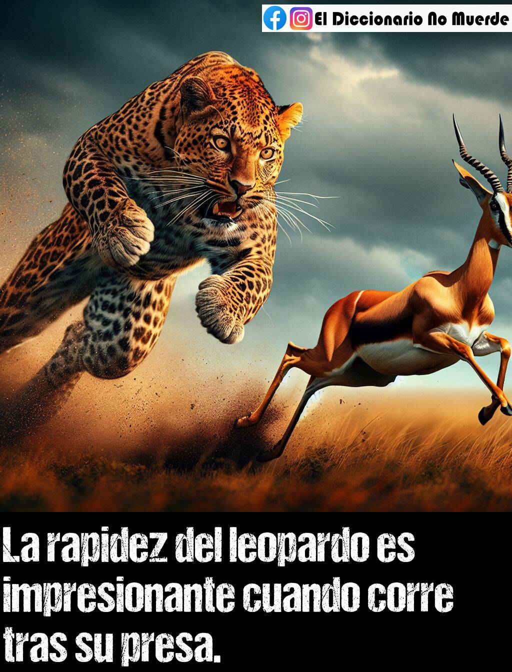 Significado de «rapidez»