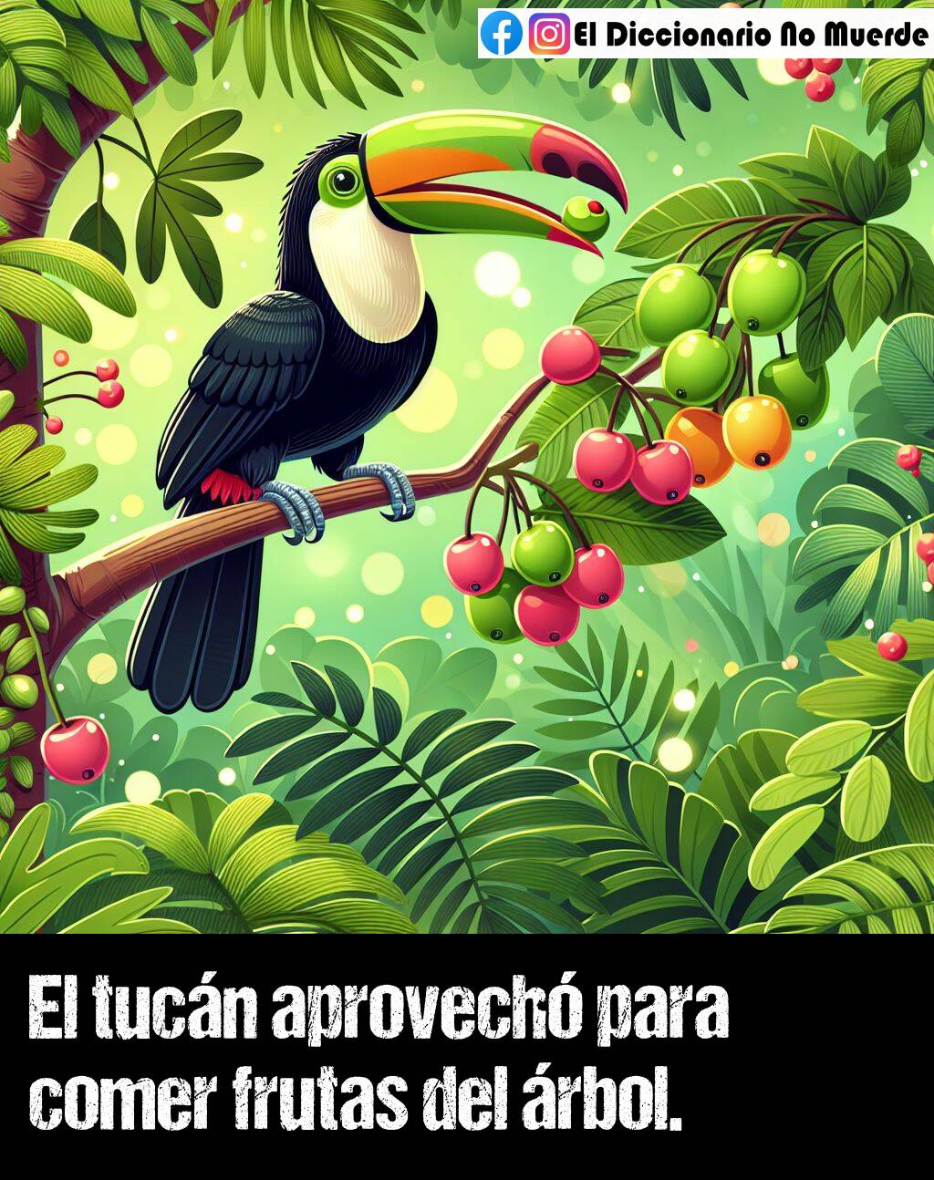55 oraciones con «tucán»
