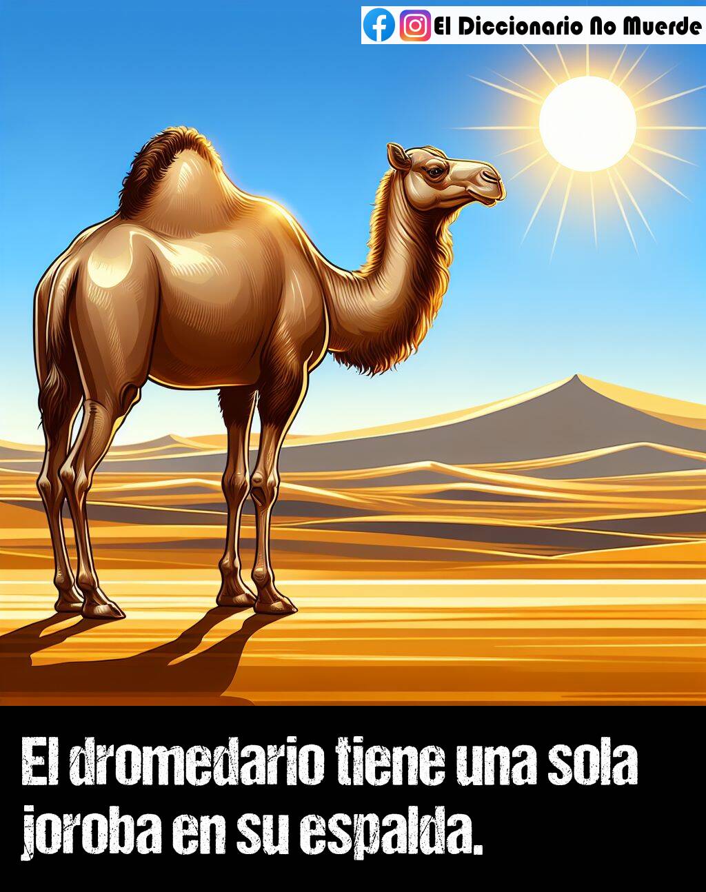 Significado de «dromedario»