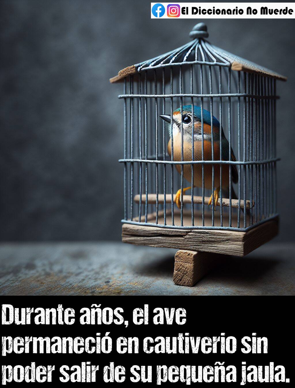 Significado de «permanecer»