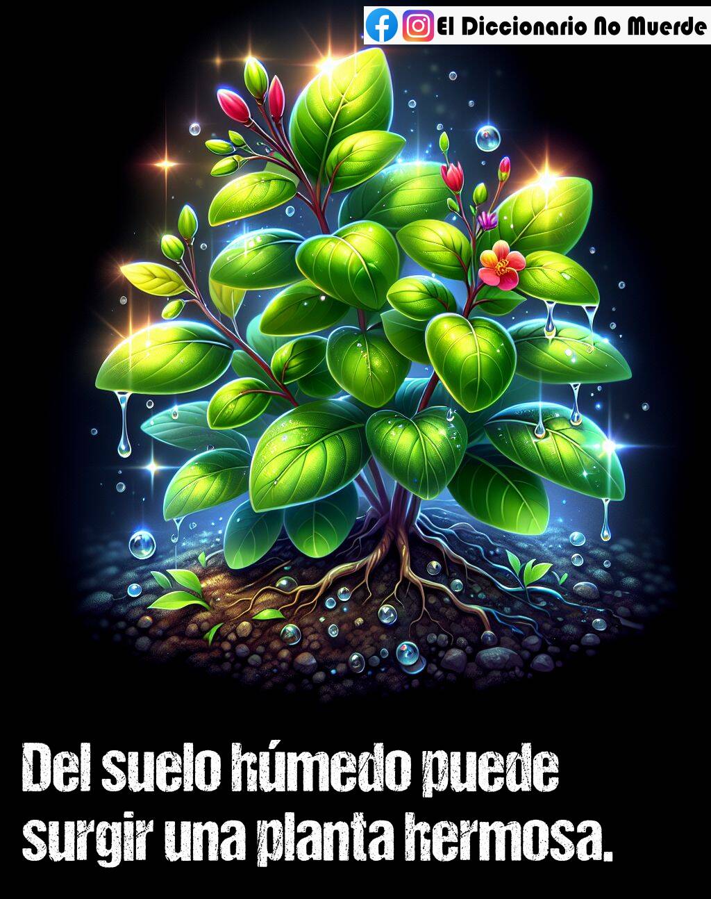 40 oraciones con «surgir»