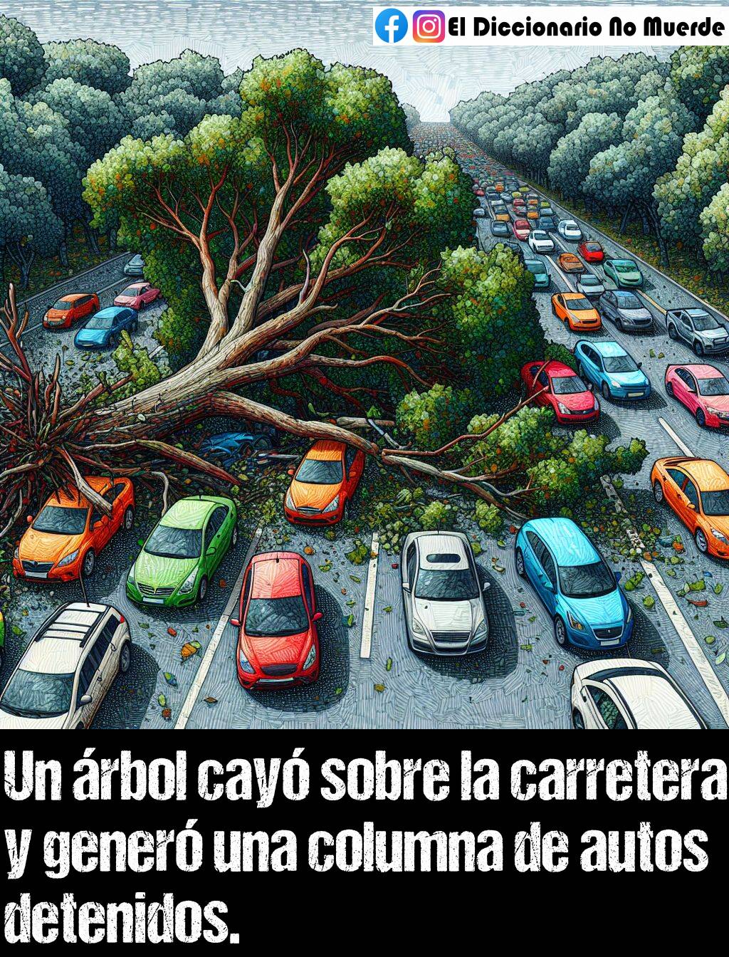 Significado de «auto»