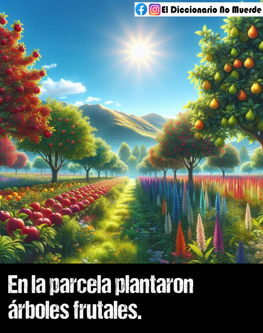 Significado de «parcela»