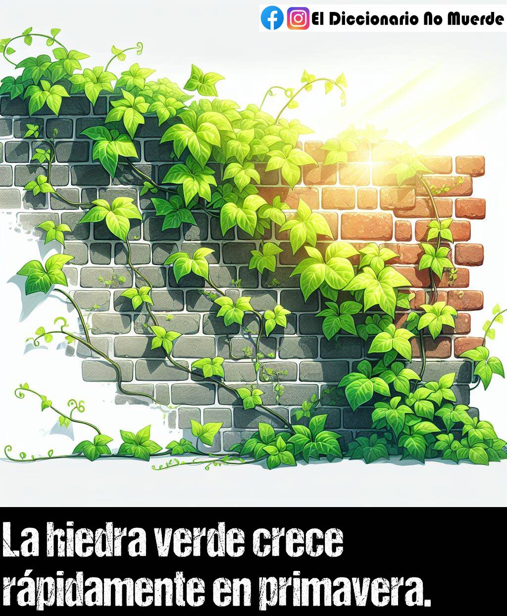 Significado de «crecer»