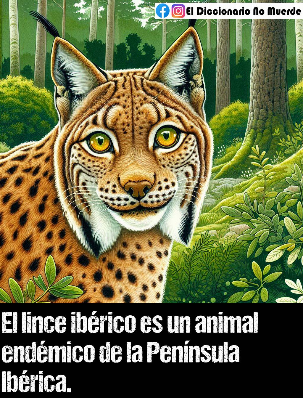 Significado de «península»